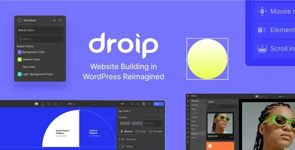 Droip 2.5.5 – No-Code WordPress Site Builder - Nullib